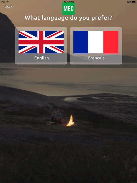 How can I use Traction Guest in a multi-language environment?